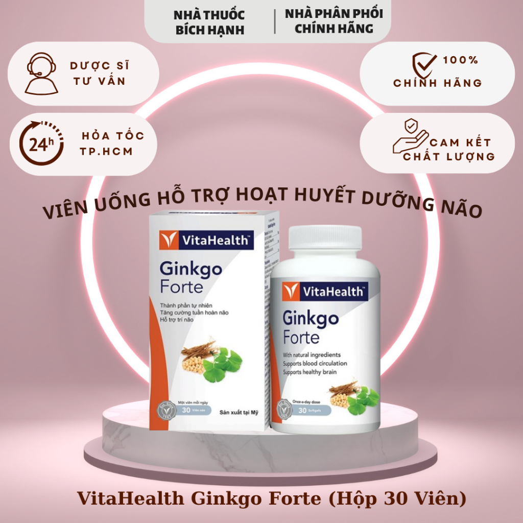 Vitahealth Ginkgo Forte Pills Support Brain Nourishment, Increase Brain ...