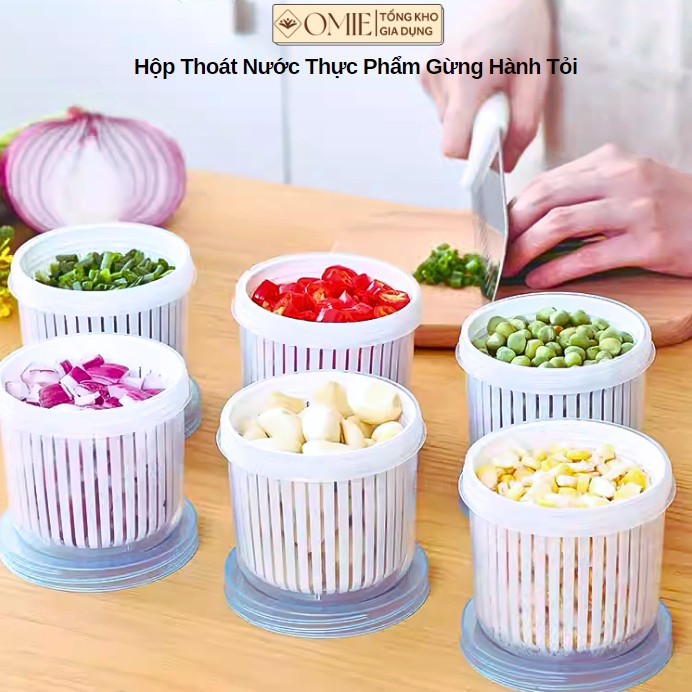 Drainage Ginger Onion Container, Closed Lid Avoid Odors, Plastic Box ...