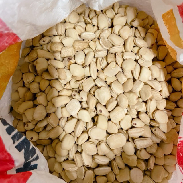 Tamarind Seeds Used As Tamarind Stone / Tamarind Tea | Shopee Malaysia