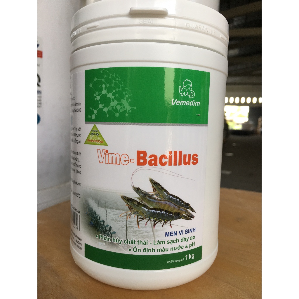 Bacillus Probiotics Are Specialized For Ponds Raising Shrimp Quang CANH ...