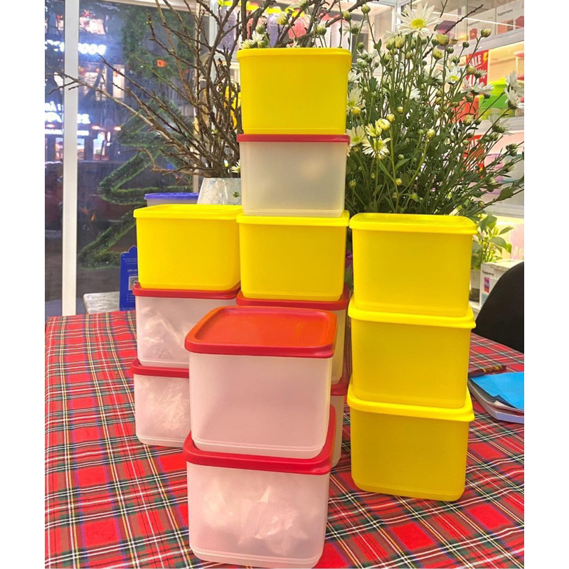 Cool and Dry Storage Box 1L Thailand (1 Box) | Shopee Malaysia