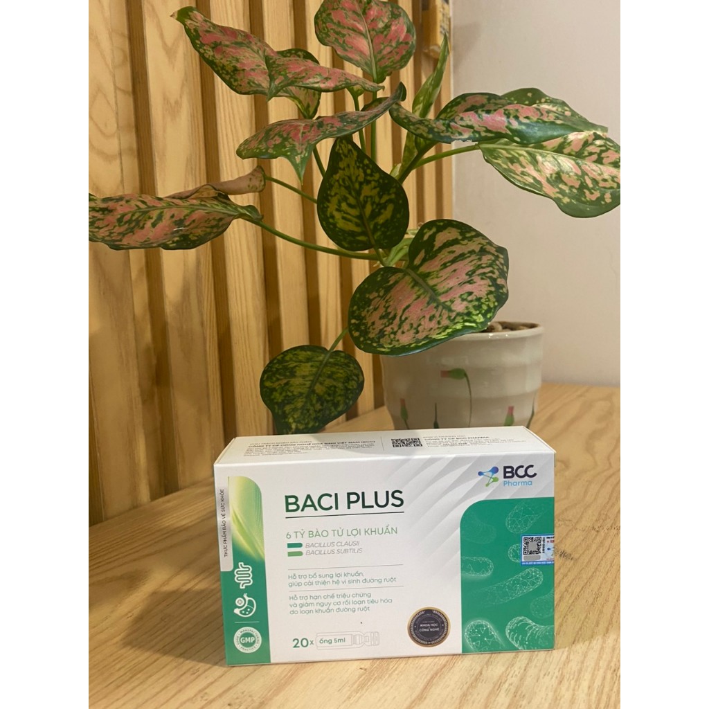 Baciplus Probiotics Help Reduce Digestive Disorders (Box Of 20 Tubes ...