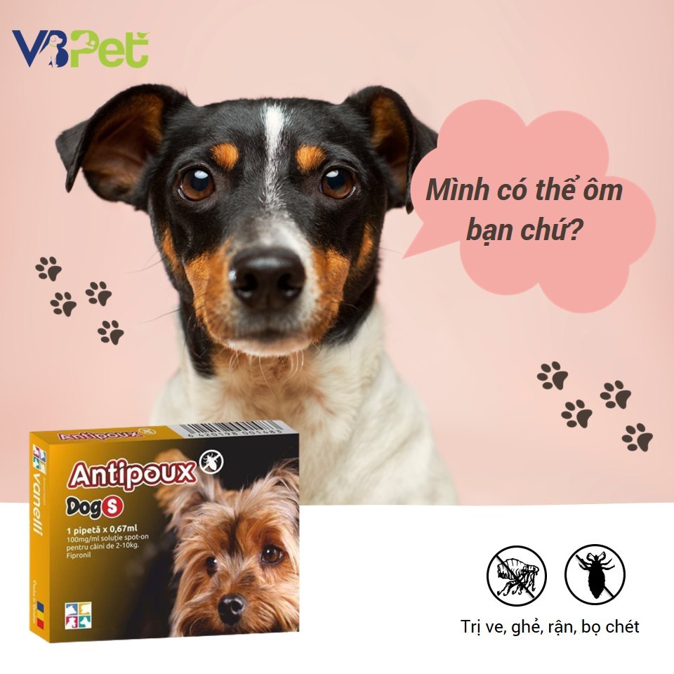 Small COLLECT PREVENTION - ANTIPOUX DOG S JUMPING BOX OF 6 TUBES ...
