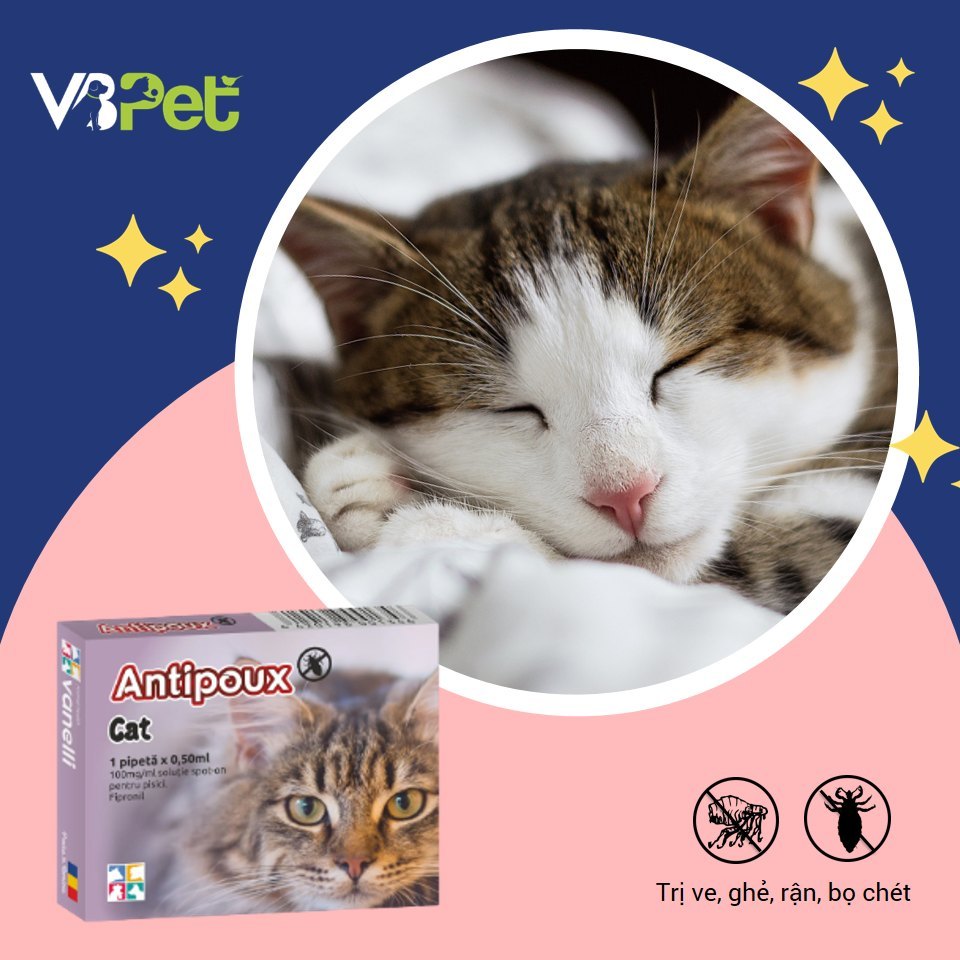 Small Tube Of CAT Nape Of Ticks, Lice, Jump Bugs - ANTIPOUX CAT Box Of ...