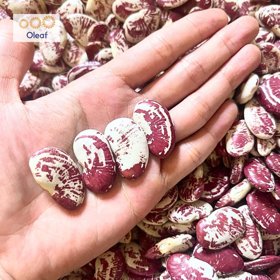 Big Size Royal Beans 1KG New Season Que Lam Dong Bui Ba Delicious ...