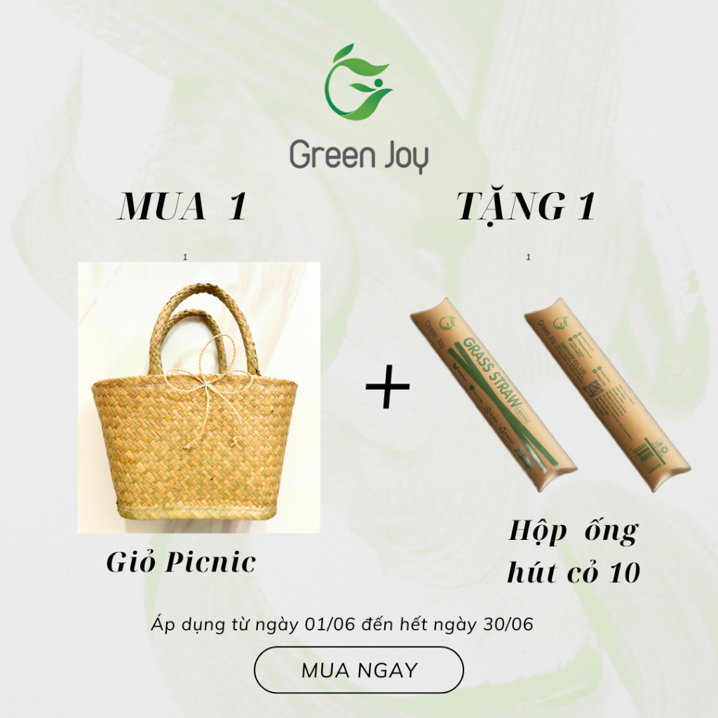 Green Joy picnic basket | Shopee Malaysia