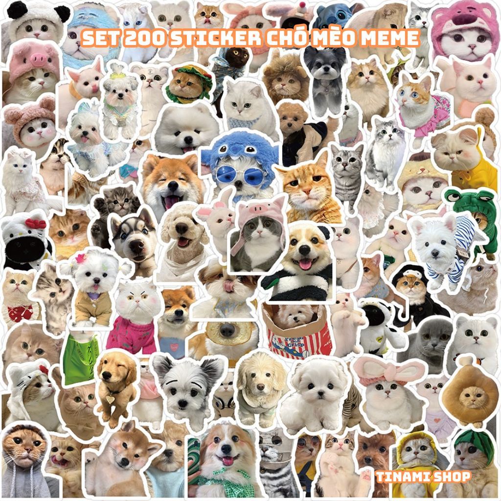 Set of 200 cute dog and cat meme stickers, dog and cat stickers, pre ...