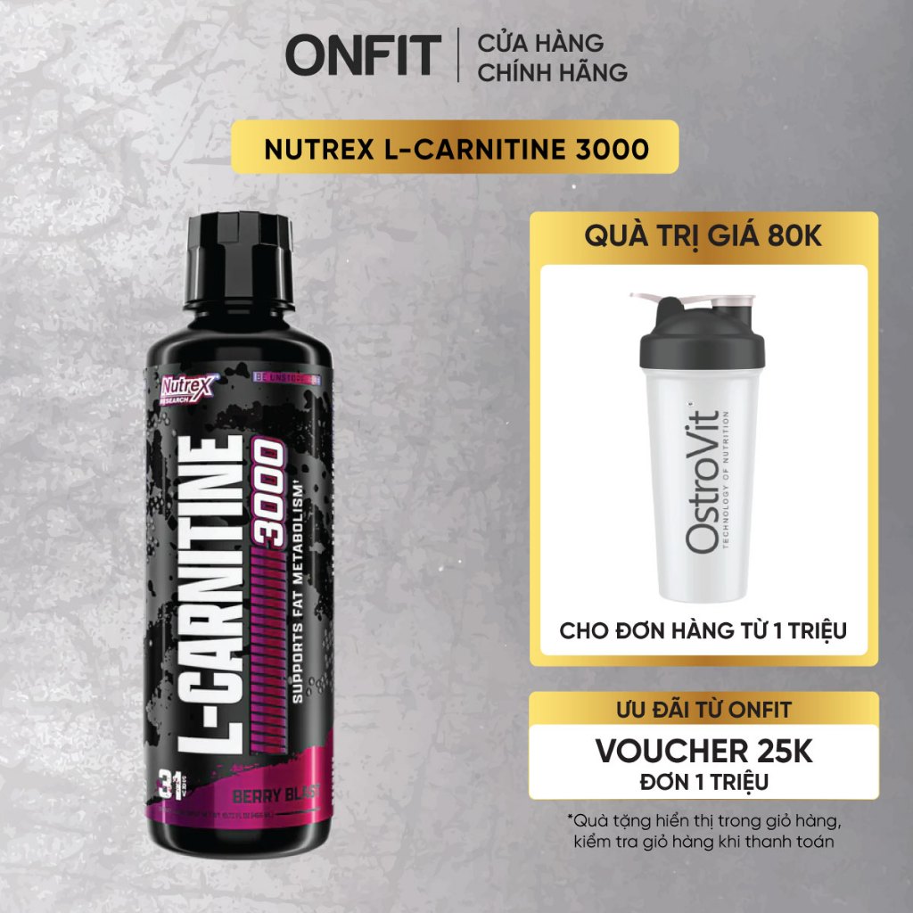 Nutrex L-Carnitine 3000 Liquid (31 Uses) | Improve Physique, Burn Fat ...