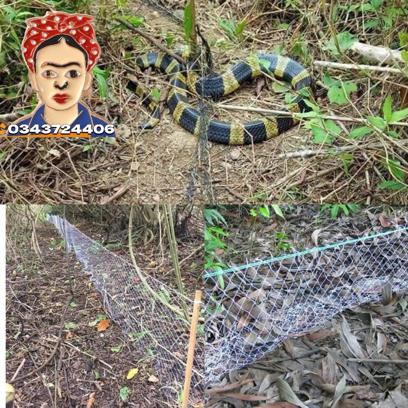 Snake trap net (1 hand snake trap) | Shopee Malaysia