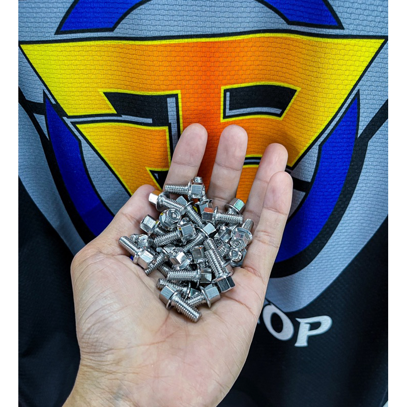 6ly Stainless Steel 304 Screws Thai Sample Full size Can Mount Most ...