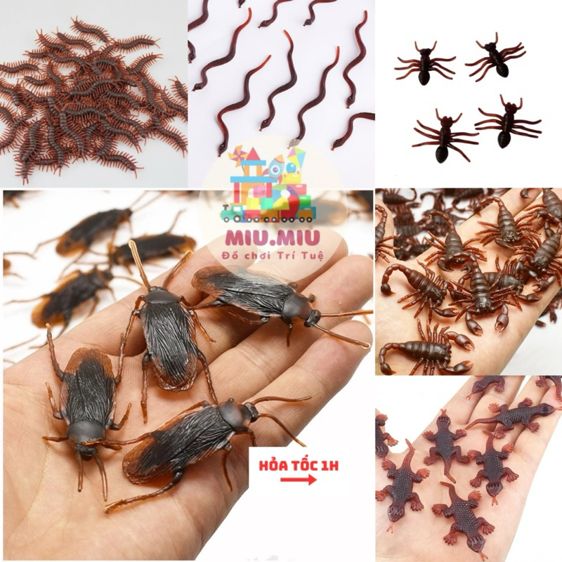 [Wholesale Warehouse] Beautiful Fake Insect Cockroaches, Centipede ...