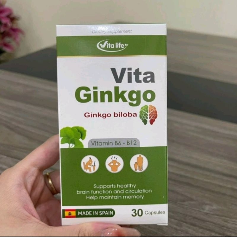 VITA Ginkgo Brain Supplement Ginkgo Biloba Nattokinase Q10 Reduces ...