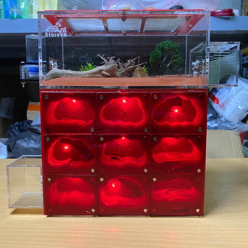 Tank Ant Nest Apartment Plaster Ant Farming Barn | Shopee Malaysia