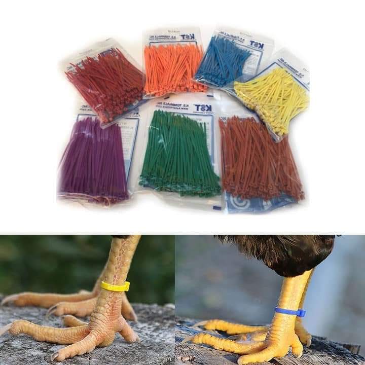 Marked DRAWBAND, BOTTOM ROPE, COLOR PLASTIC ROPE, LAT ROPE, PLASTIC ...