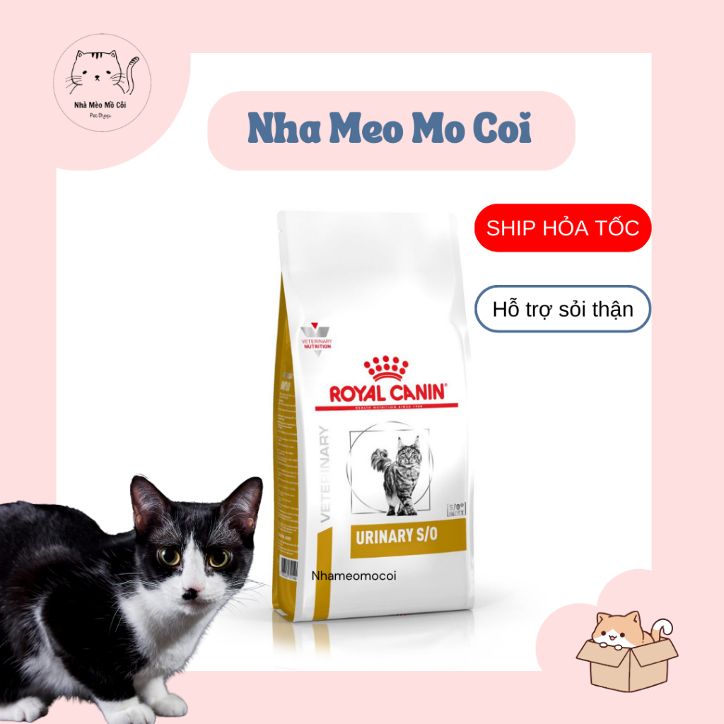 Royal Canin Urinary S/O cat food - For cats with kidney stones ...