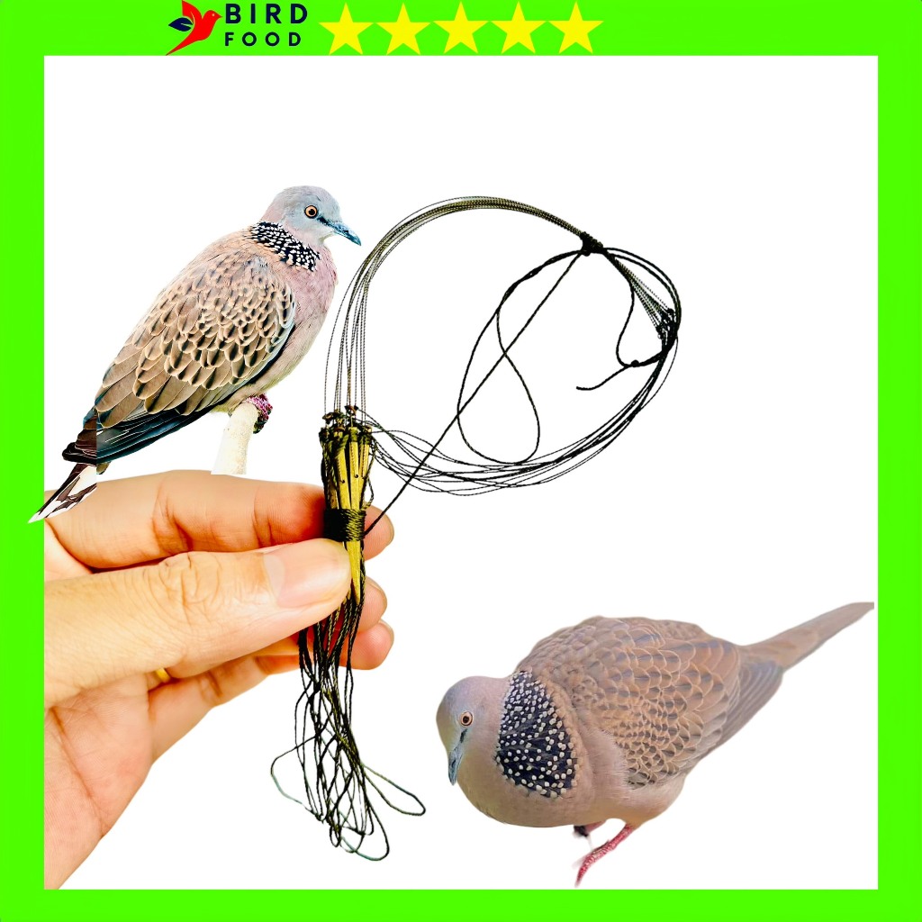 Copper-legged Cuckoo Trap, Super Sensitive Cuckoo Trap | Shopee Malaysia