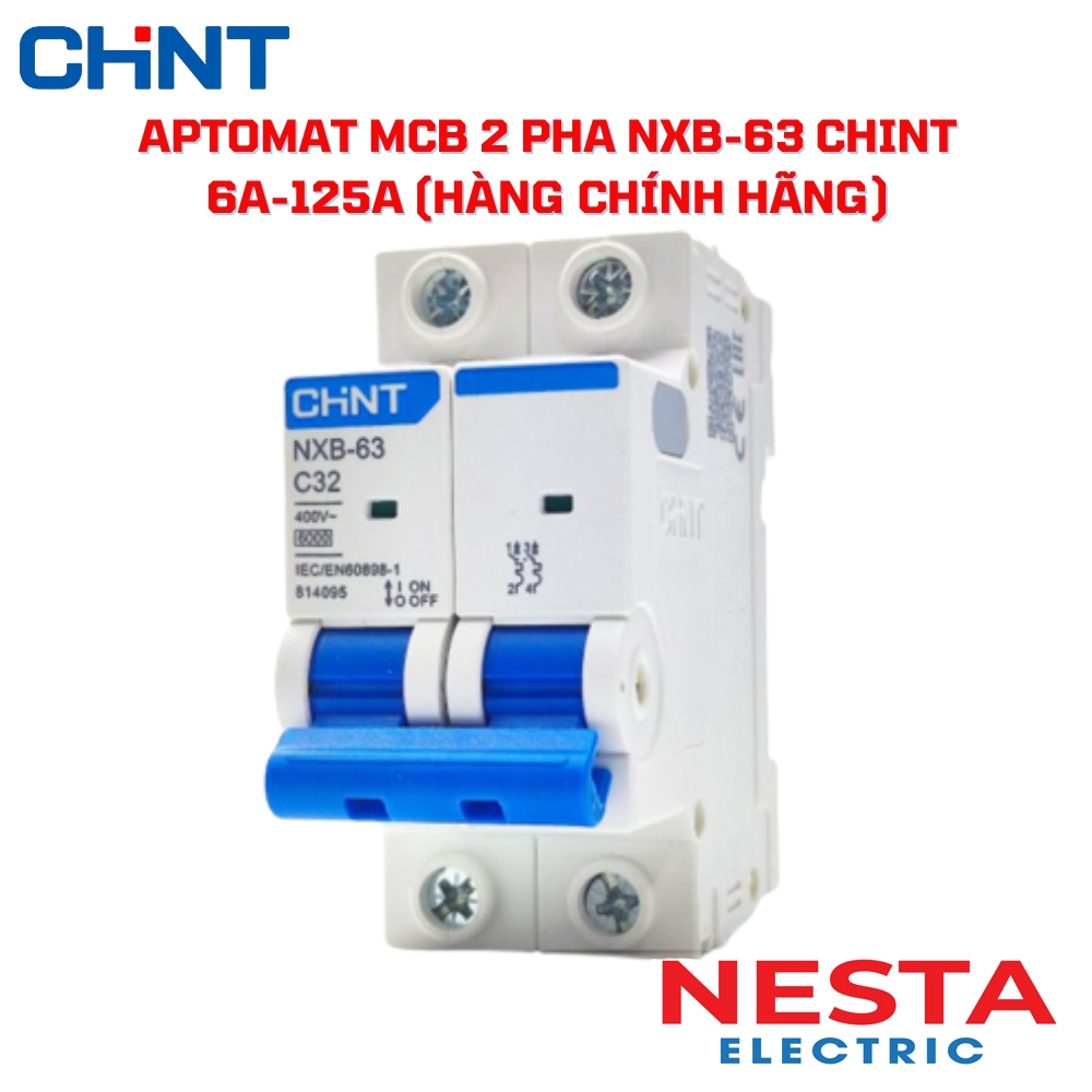 2-phase MCB Aptomat NXB-63 Chint 6A,10A,16A,20A,25A,32A,40A,50A,63A,80A,100,125A (GENUINE ...