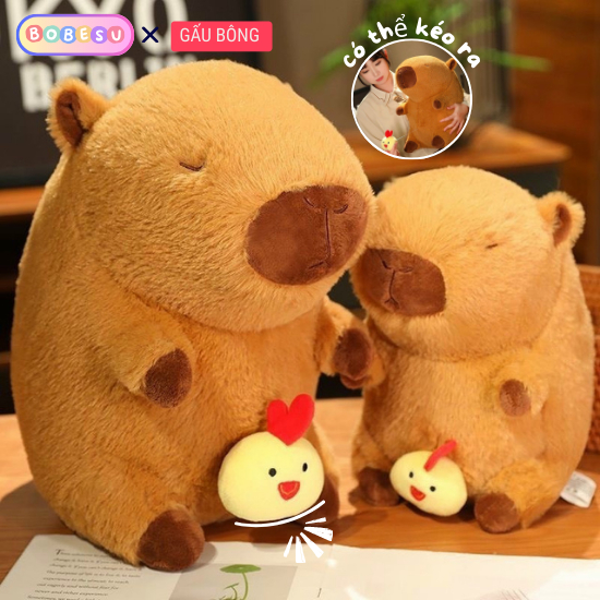 Capybara Chicken Capybara Funny Chicken Capybara Funny Chicken Teddy ...