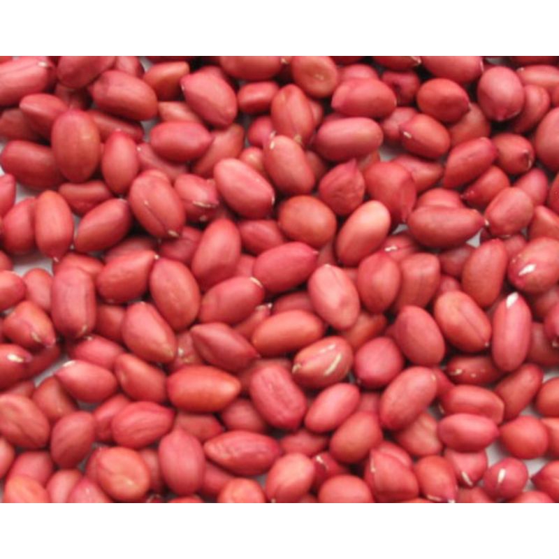 Peanuts, peanuts, nutritious red peanuts 0.5kg | Shopee Malaysia