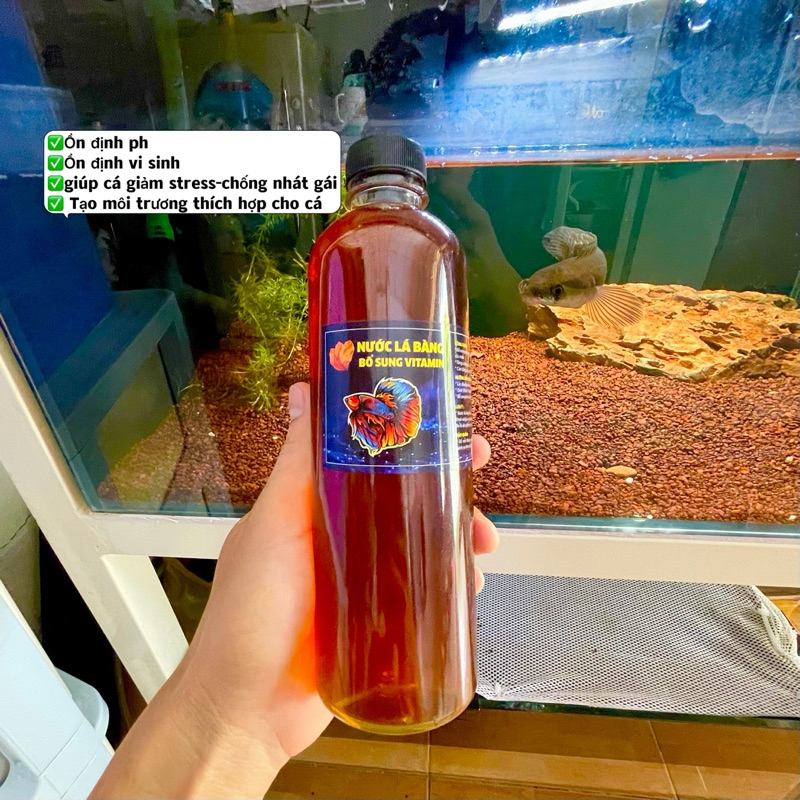 Fish NOURISHING WATER - COMBO 2 bottles of Almond Leaf Water ...