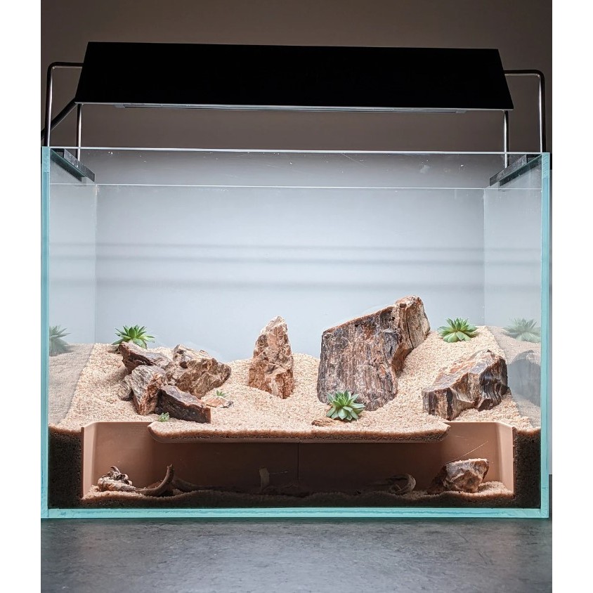 Fish cave under aquatic substrate V3 - votri3d - V48 | Shopee Malaysia