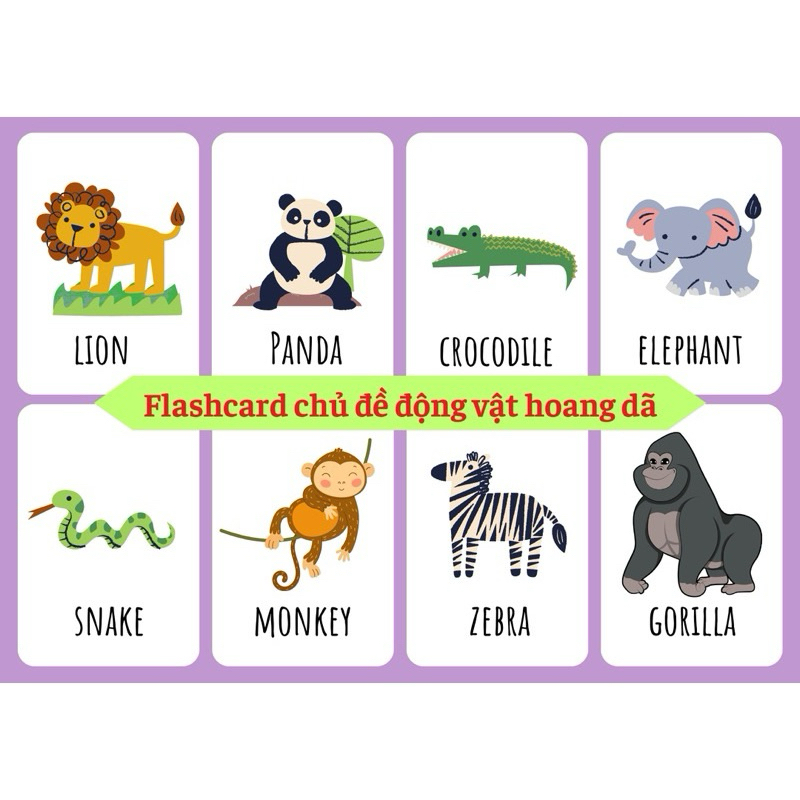 Set of 16 laminated learning cards with WILD animal theme FLASHCARDS ...