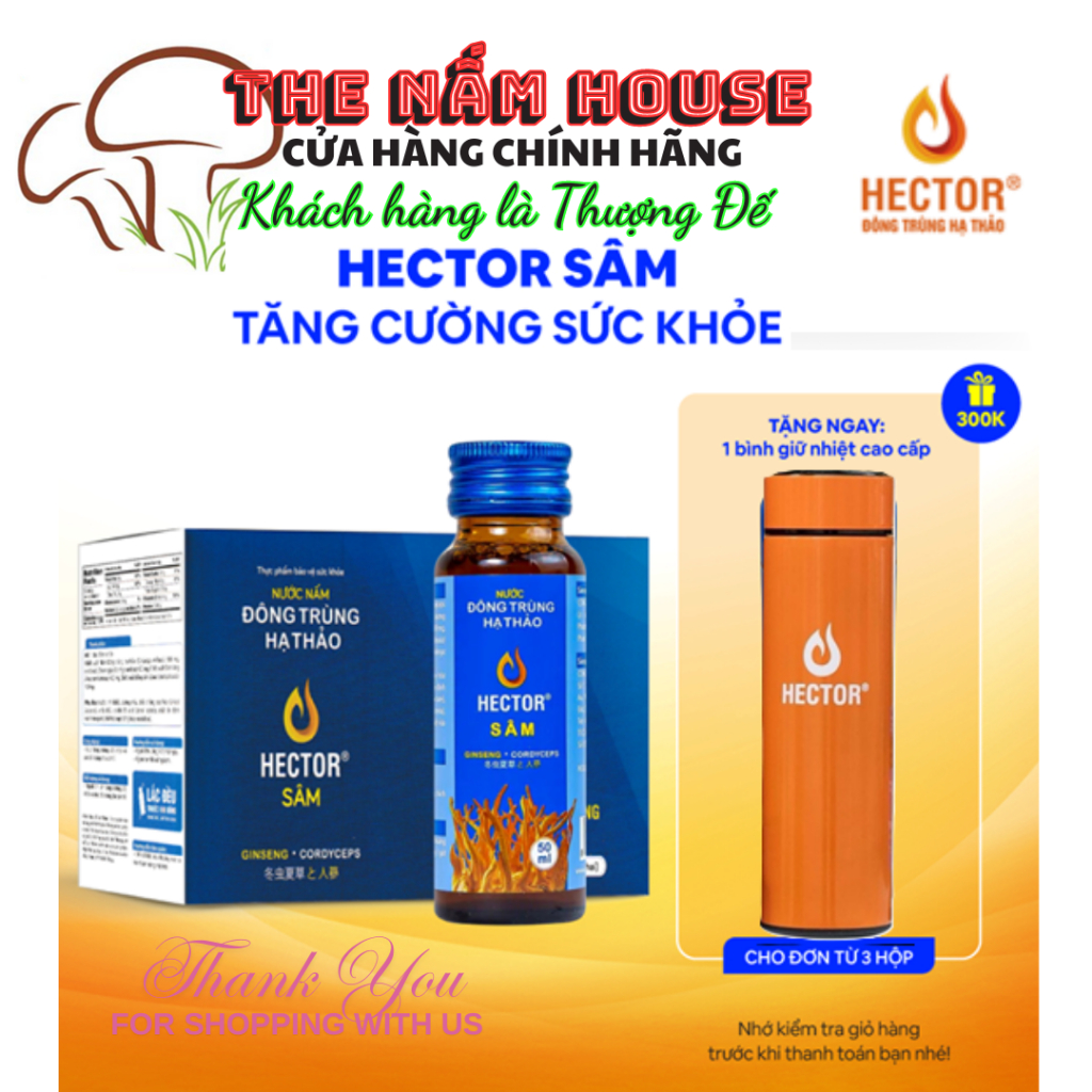(GIVE Lucky Golden Turtle) Hector Ginseng Cordyceps Drink Box of 10 ...