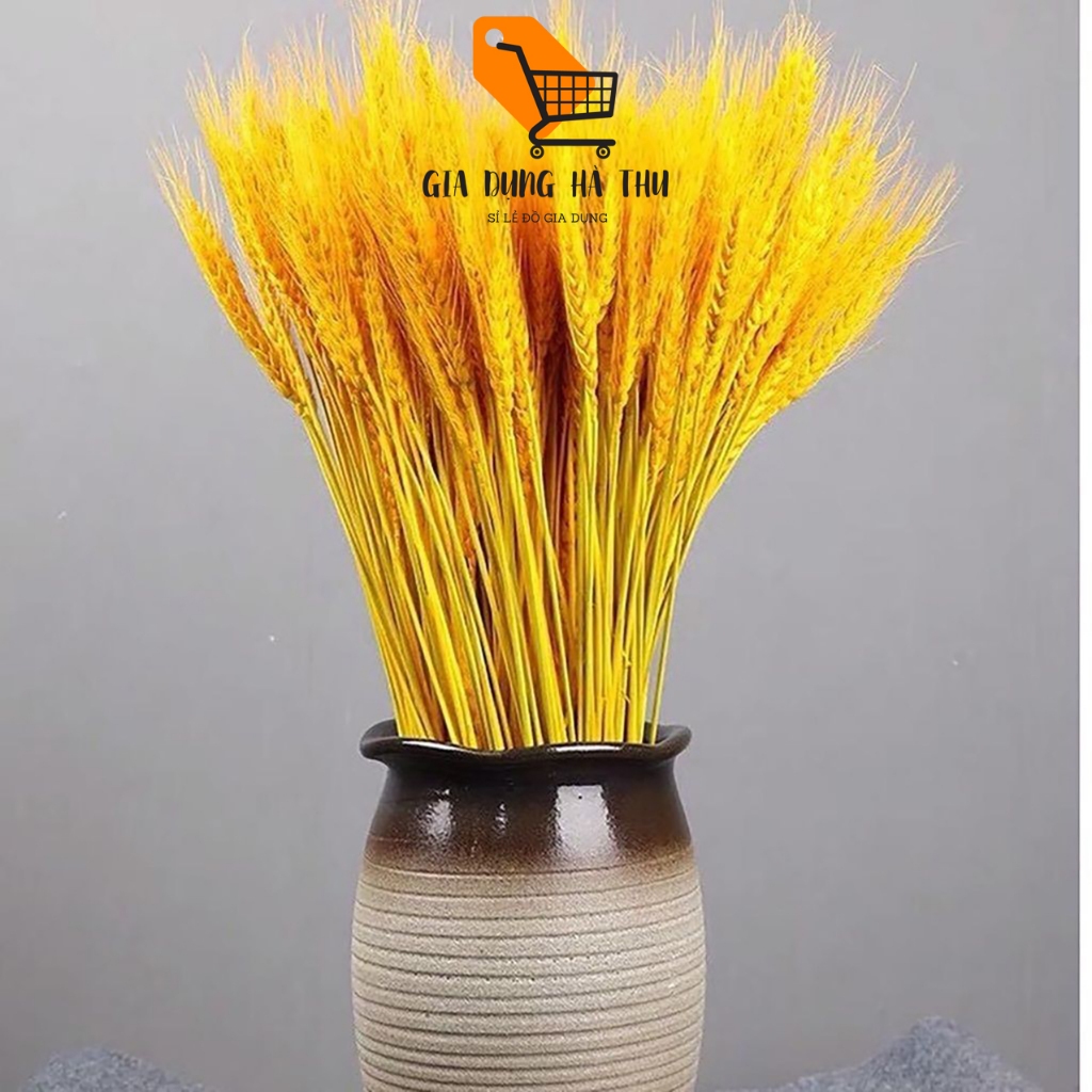 Decorative golden barley flowers (bundle of 100) | Shopee Malaysia
