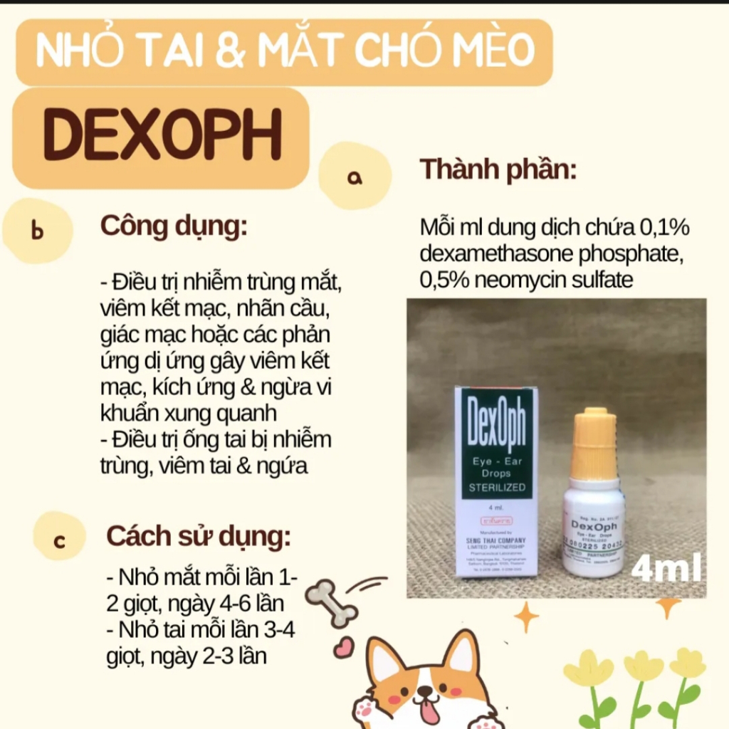DexOph, PolyOph 4ml for ear and eye care (Thai product) | Shopee Malaysia