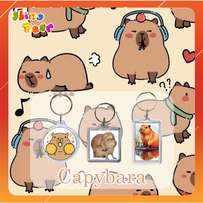 [Meme Capybara] - Key Chain / Key Chain Meme Capybara Used As Gifts And ...