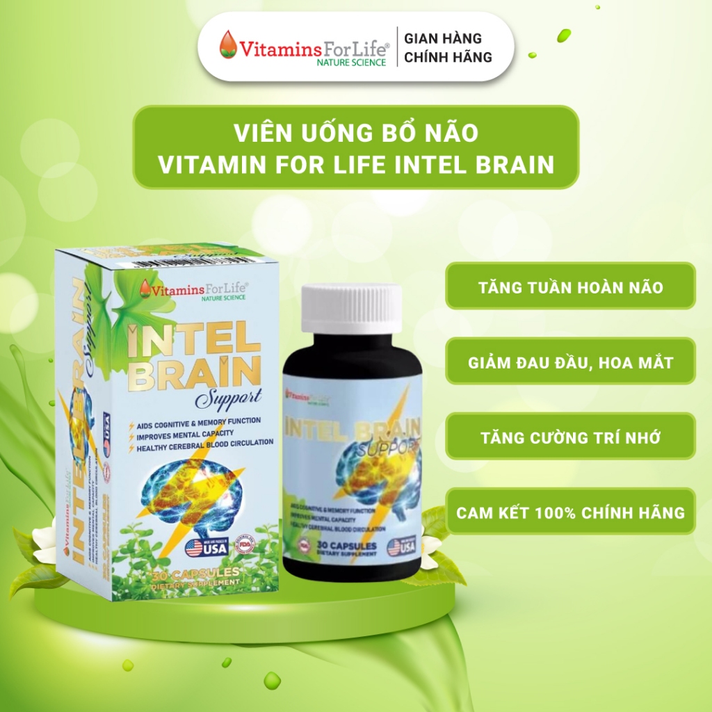 Intel Brain Vitamins For Life Brain Supplement Helps To Increase Blood ...