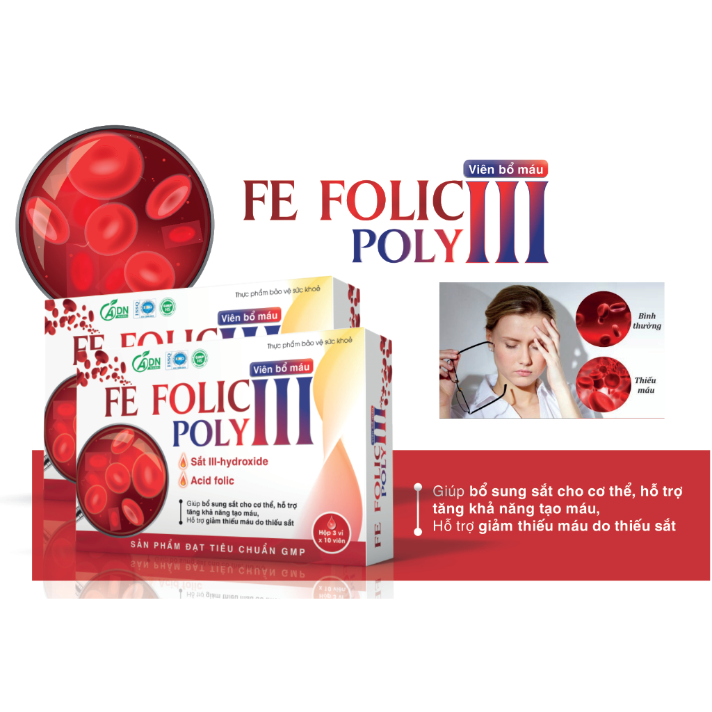 Fe folic Iron Supplement (iron III, folic acid) increases hematopoiesis ...
