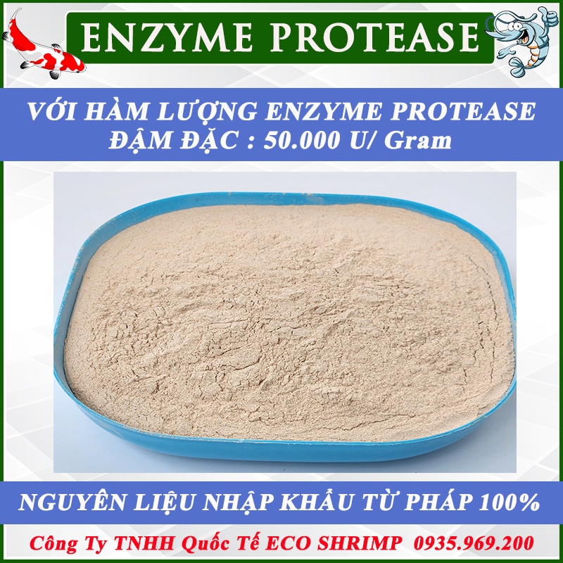 100 grams of Protease Enzyme, decomposes protein for fish composting ...