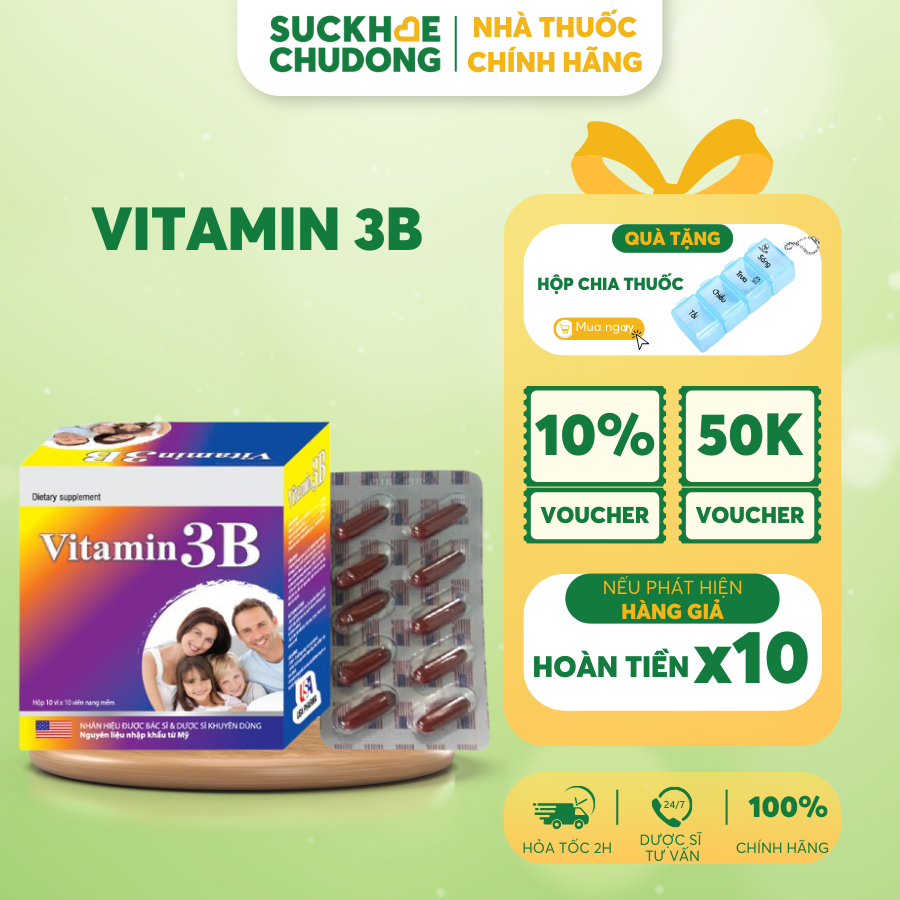 Vitamins 3B - Supplementation And Prevention Of Vitamins B1, B6, B12 ...