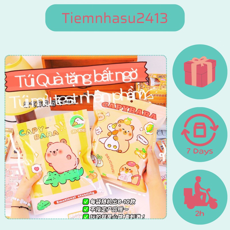 [Capybara] Blindbox Blind Bag, Surprise Gift, Character test, luckybox ...