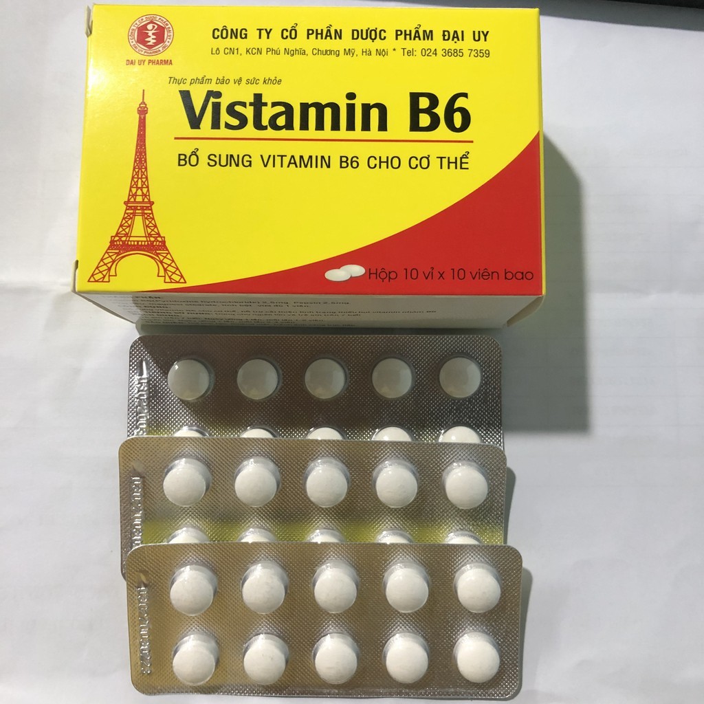 Vistamin B6 - Dai Uy - box of 100 tablets - Supplement B vitamins for the body | Shopee Malaysia