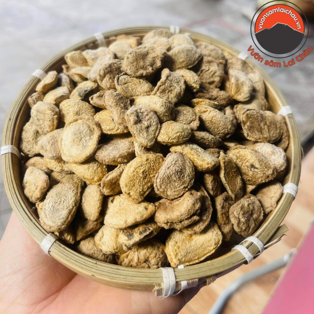 Sang seeds, white crockery seeds from the Northwest forest (1 seed to ...