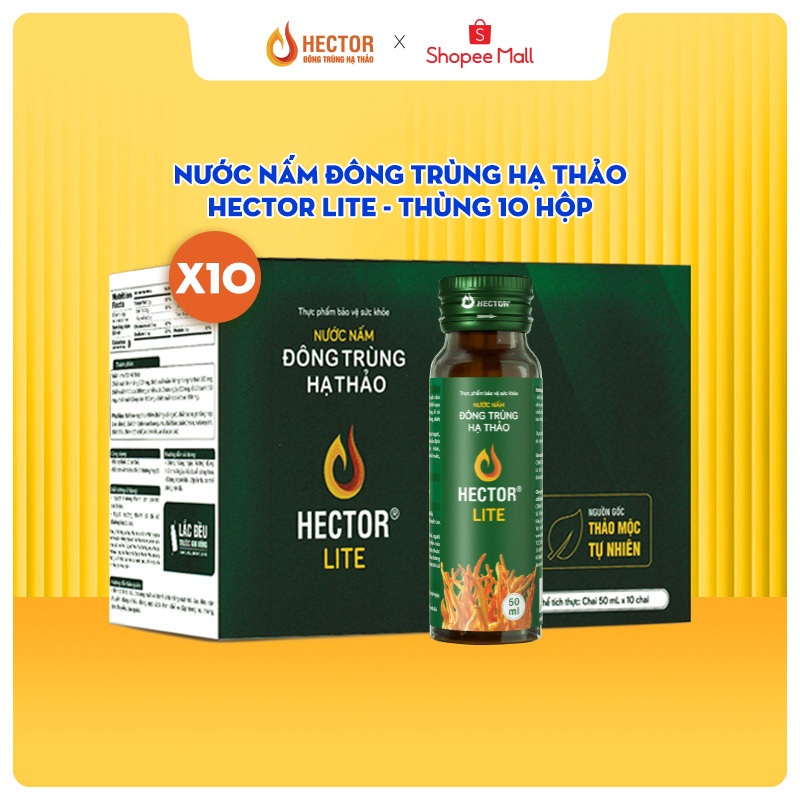 1 Box of Hector Lite Cordyceps Mushroom Drink 10 boxes (1 box x 10 ...