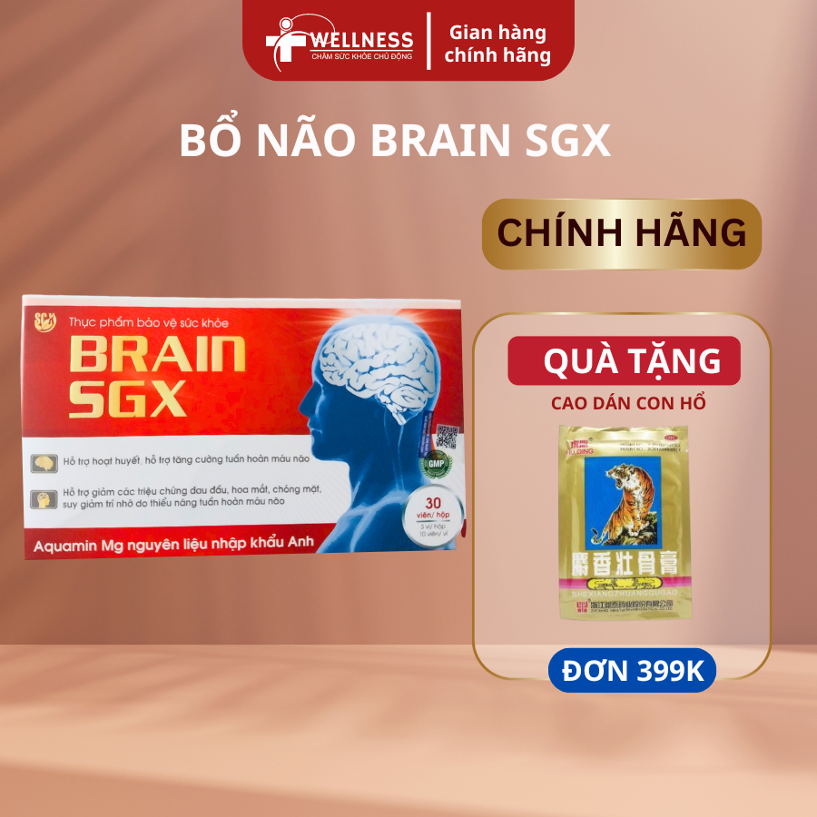 Brain supplement, Brain tonic ginkgo biloba Brain Plus GP Pharm ...