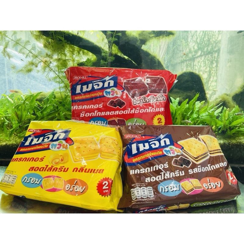 Combo of THAILAND MAGIC BISCUITS 360g | Shopee Malaysia