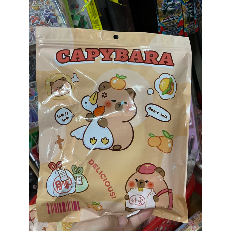 Blindbox Capybara Blind Bag, Surprise Gift, Work test, Luckybox Many ...