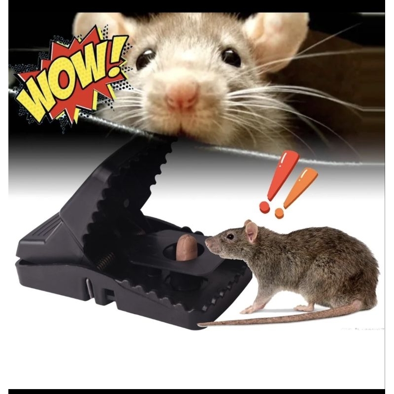New generation smart mouse trap | Shopee Malaysia