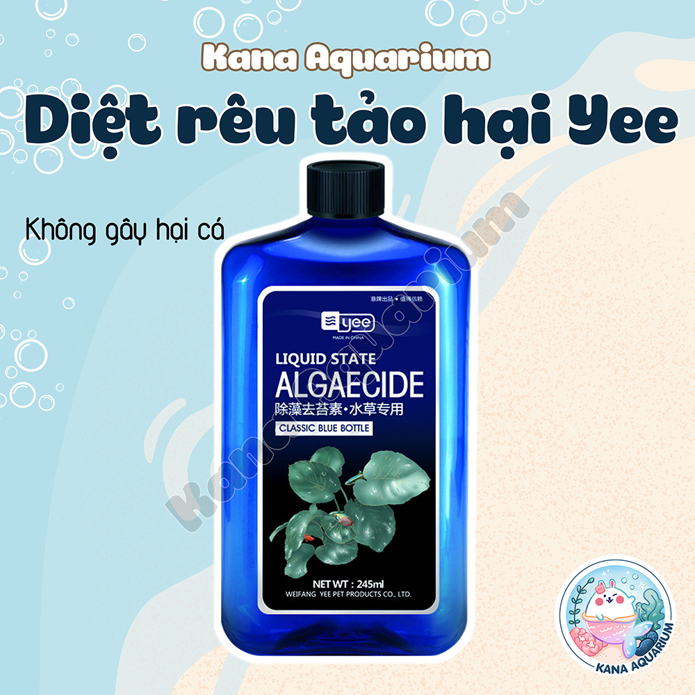 Algaecide Prevents Algae YEE Algae To Limit Algae Safe And Harmless ...