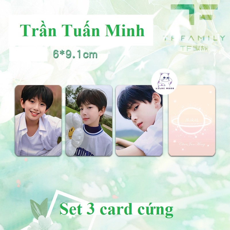 (available-9 models) Set of 3 PVC TF Gia Toc F4 hard cards and members ...