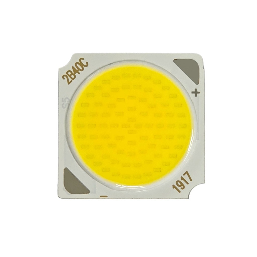 Cob Led Chip 1919-17 40w 20w (thermoss thermal paste) | Shopee Malaysia