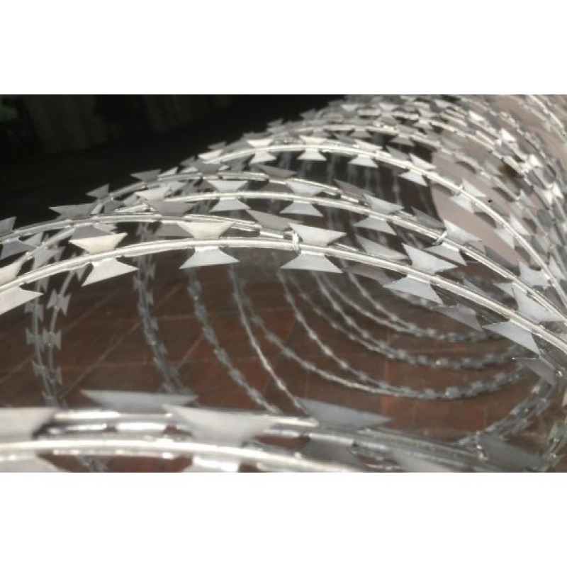 Barbed steel wire for wall fences and garden fences rolled 5kg | Shopee ...