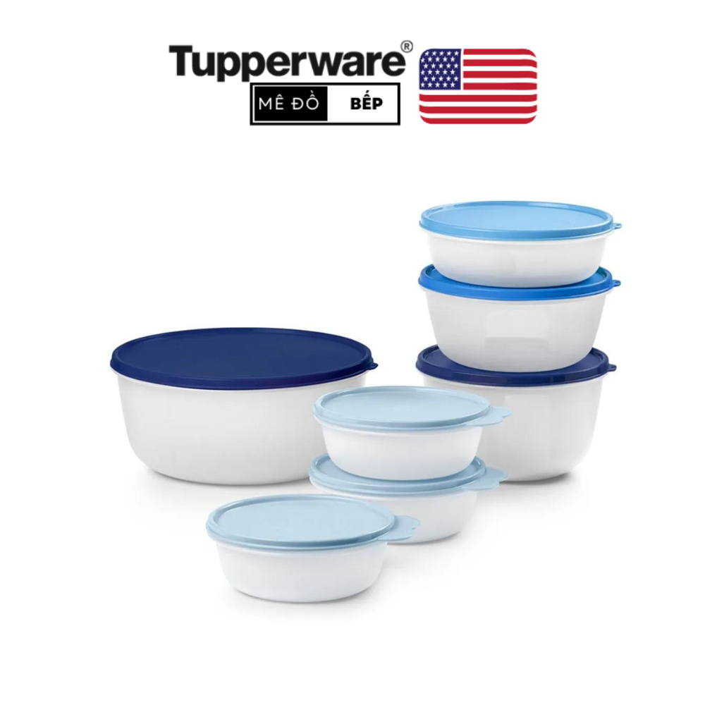Genuine odor-tight and watertight Modular Bowl 2L Tupperware cooler and ...
