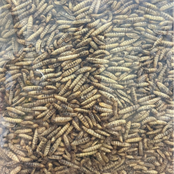 Dried calcium worms 100G 500g, 1kg. BLACK SOLDIER FLY LARVA. FOOD FOR ...