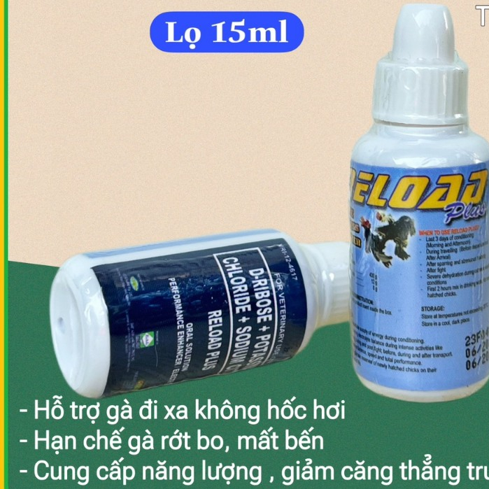 Reload Plus 18ml Excellence Philippin Electrolytes support long ...