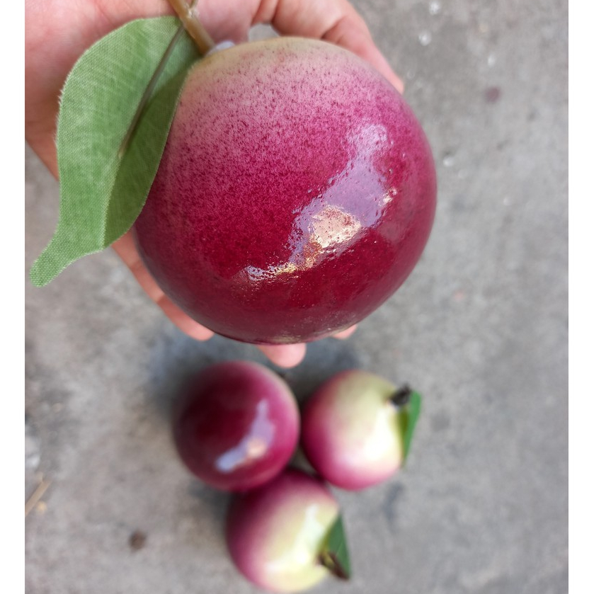 1 beautiful fake star apple that looks like the real thing - fake fruit ...